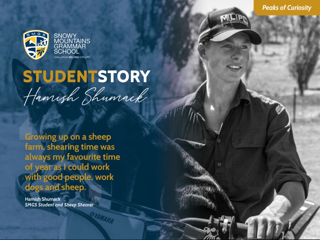 Student Story - Hamish Shumack - Skills, Sheep and a Shearing Career ...